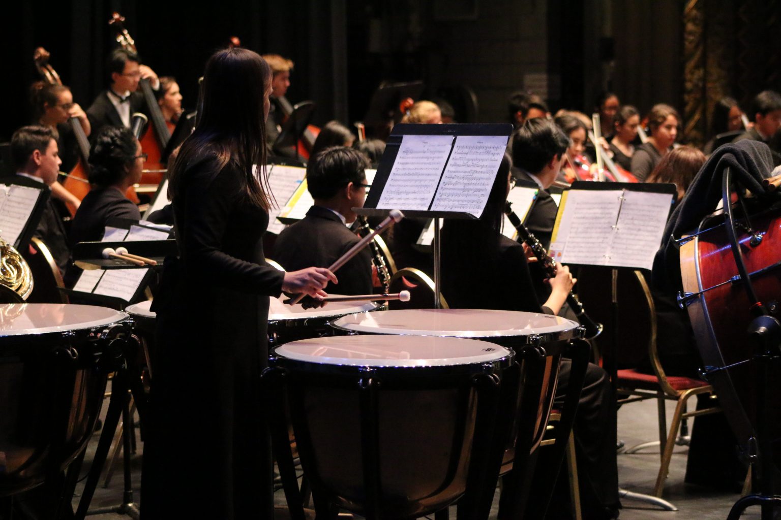 Philharmonic Orchestra | Phoenix Youth Symphony Orchestras