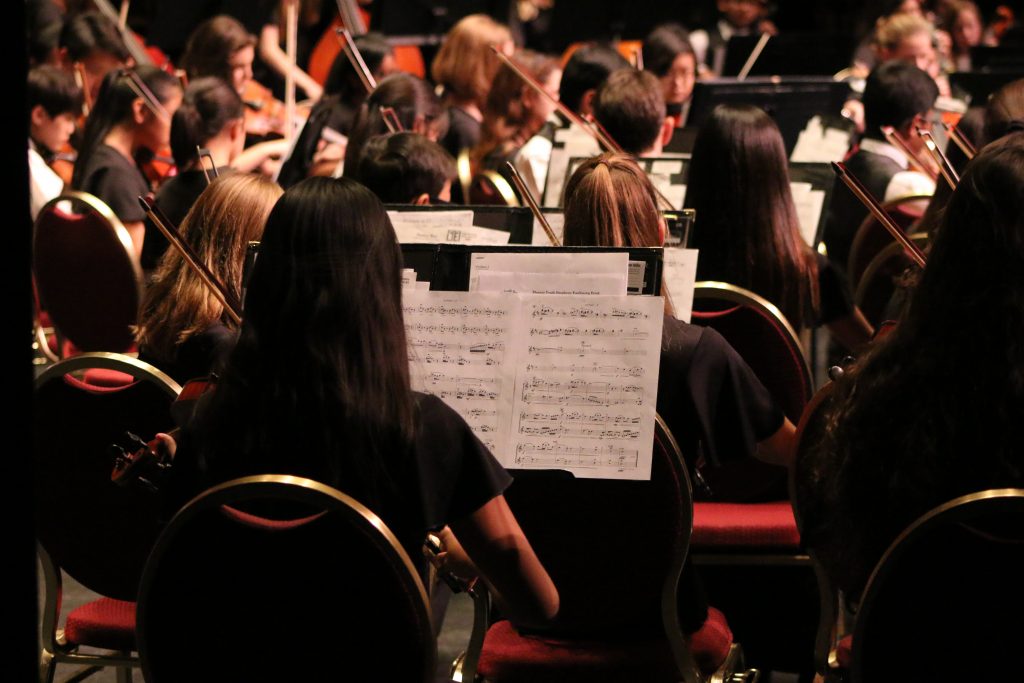 String Orchestra | Phoenix Youth Symphony Orchestras