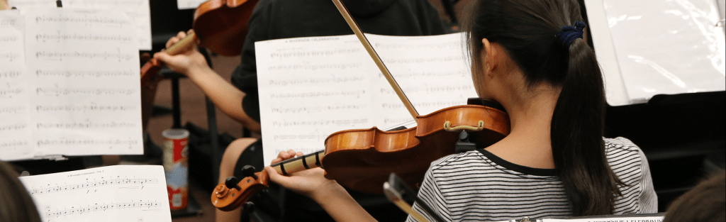 String Orchestra | Phoenix Youth Symphony Orchestras